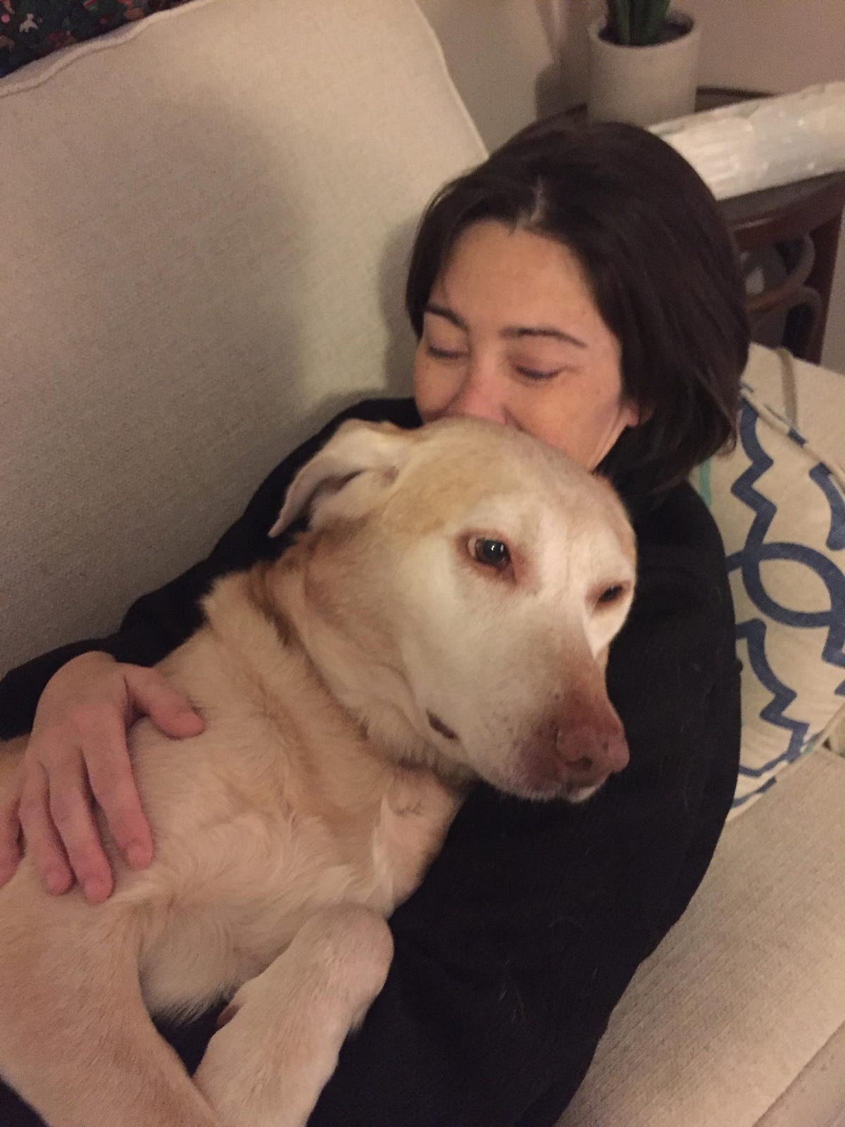 Fur the Love of Dog. Mattina (Mattie) pawed her way into my… | by sarah ...