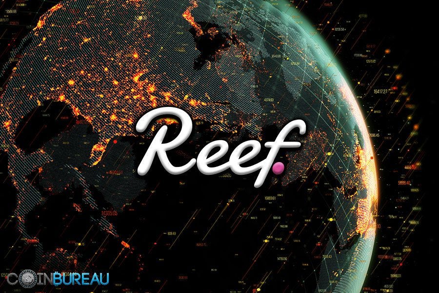 REEF Your Way to Airdrop Rewards: Eligibility Tips for 2024 | by $REEF ...