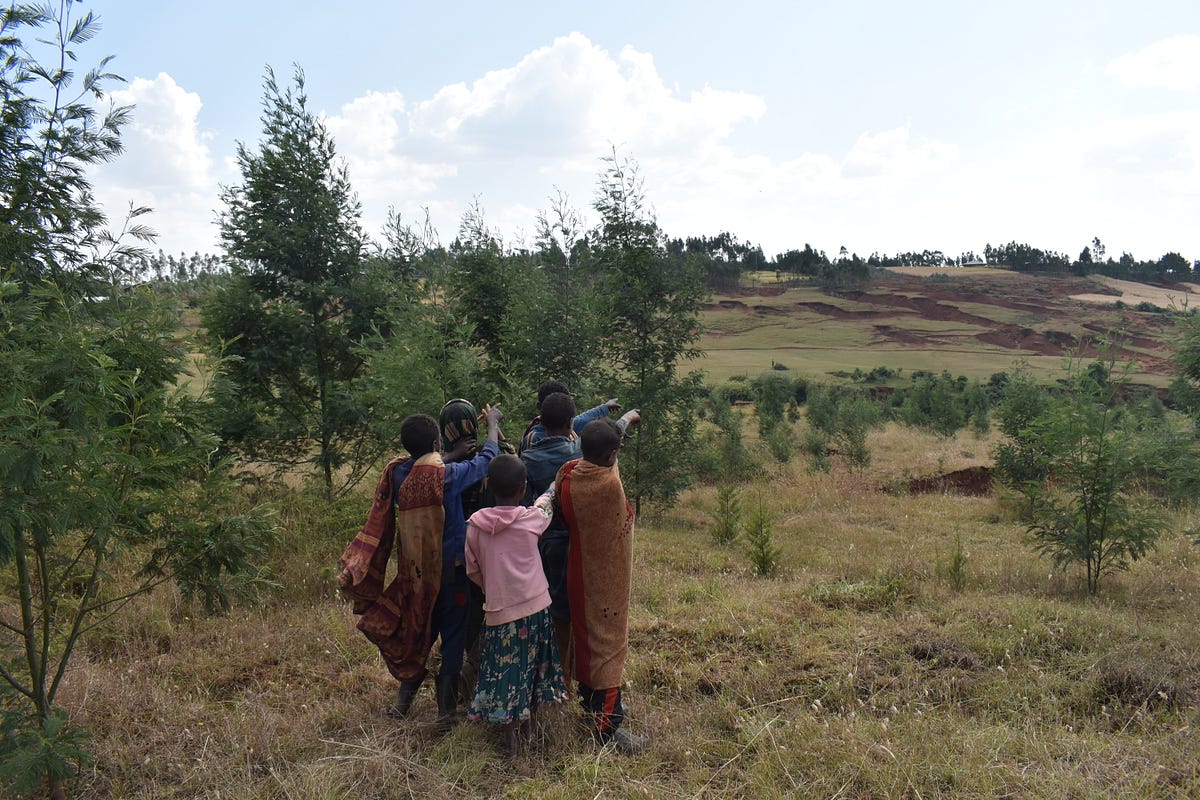 Planting Seeds of Change. By Tim Prewitt, President and CEO, The… | by ...