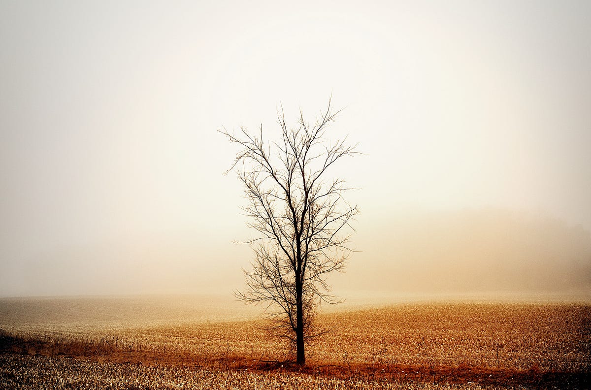 Haiku Blue: Gifted True Peace.. Skinny Poetry for Over-Bloated Lives ...