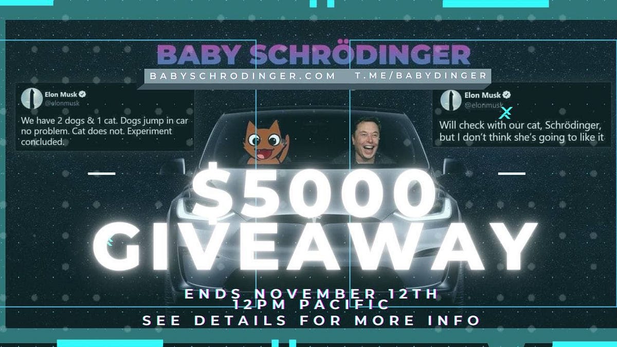 Elon Musk Cat Schrodinger Baby Dinger Mission to Mars | Medium