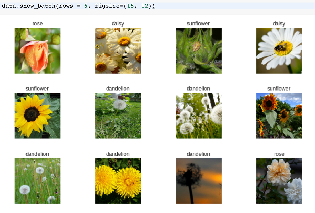 From Zero to a first Classification Model with Fast.ai | by Sebastien ...