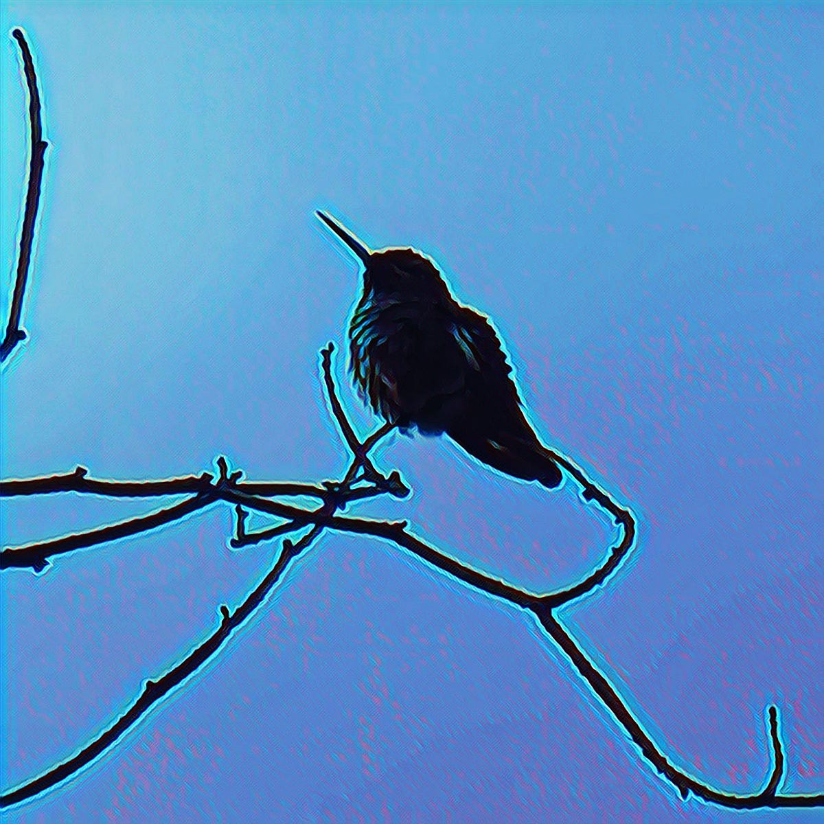 Snowbird: A Poem of Survival | Admiring Multipotentiality