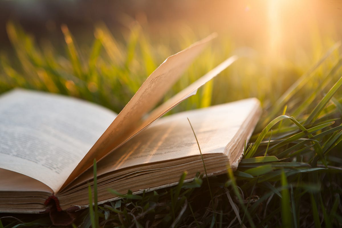 A Failed Book - Literally Literary - Medium