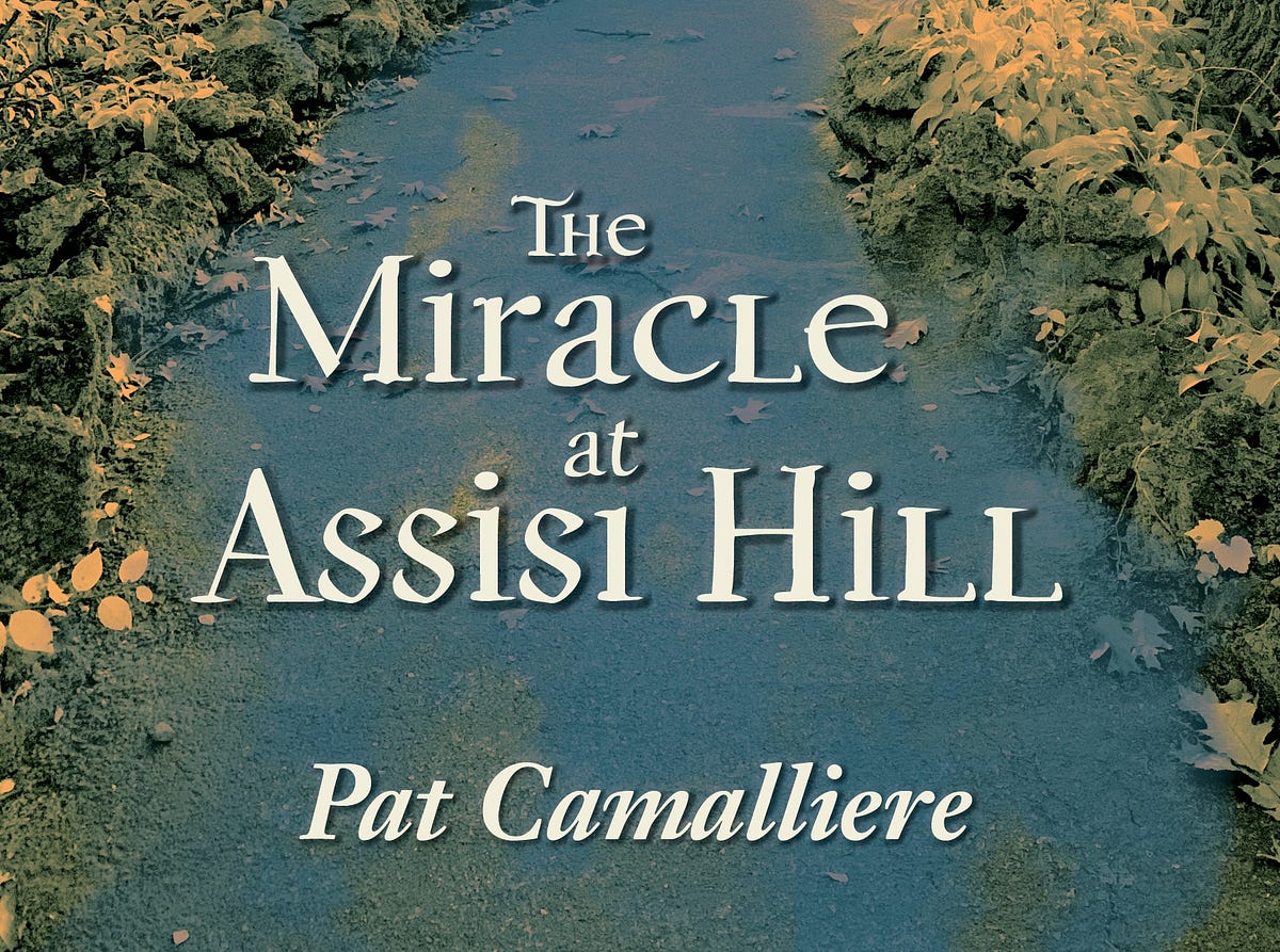 The Miracle at Assisi Hill. A Writer Shed Review | by David W. Berner ...