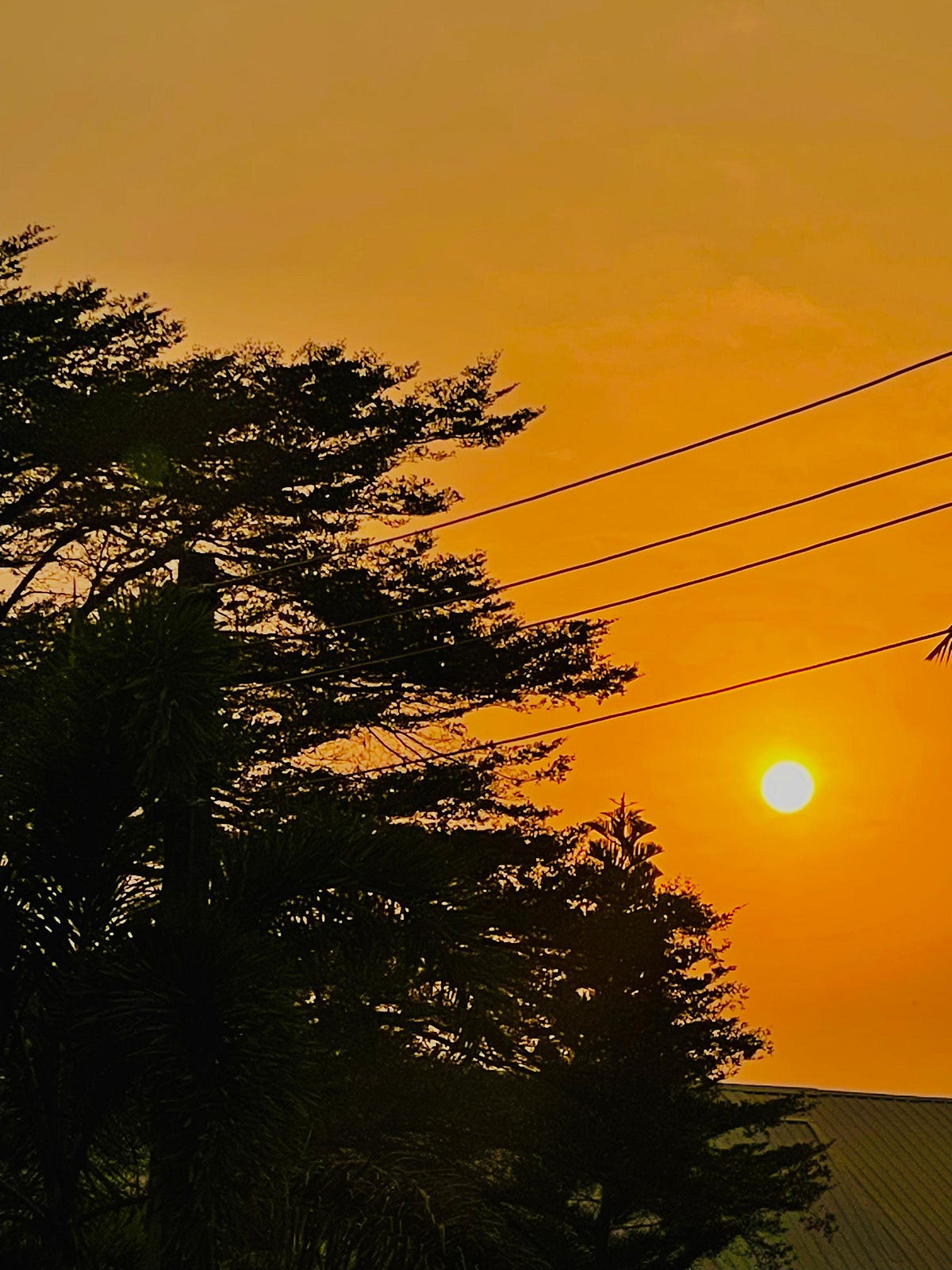 Big Fools Everyday. Every day, we start life foolish —… | by Debbie ...