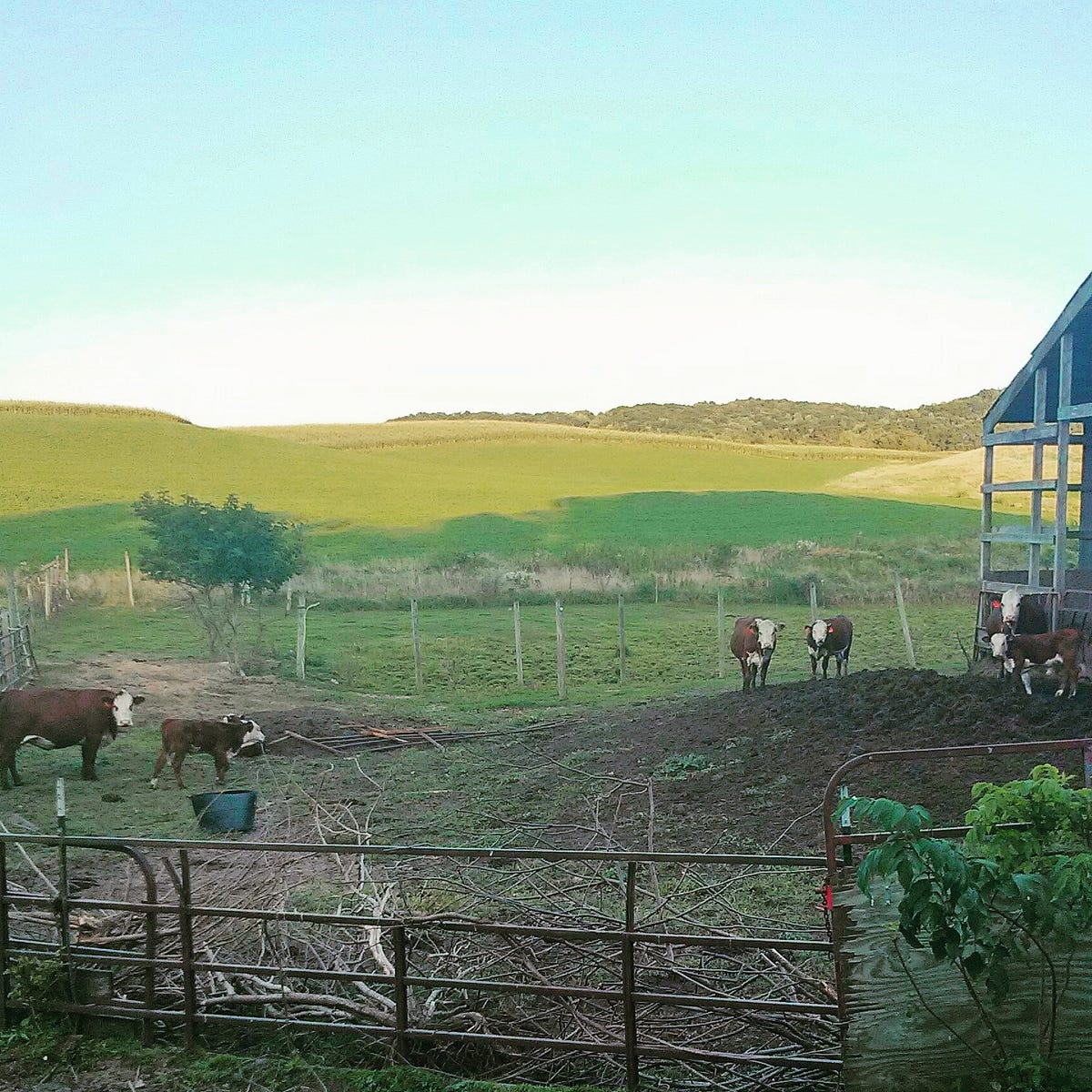 I Live on a Freak Farm. Everyone is a “freak” to someone. Maybe… | by ...