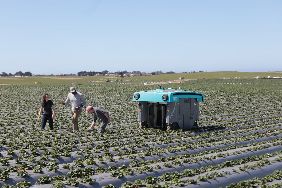 Why is it so difficult to predict the future of agriculture? | by ...
