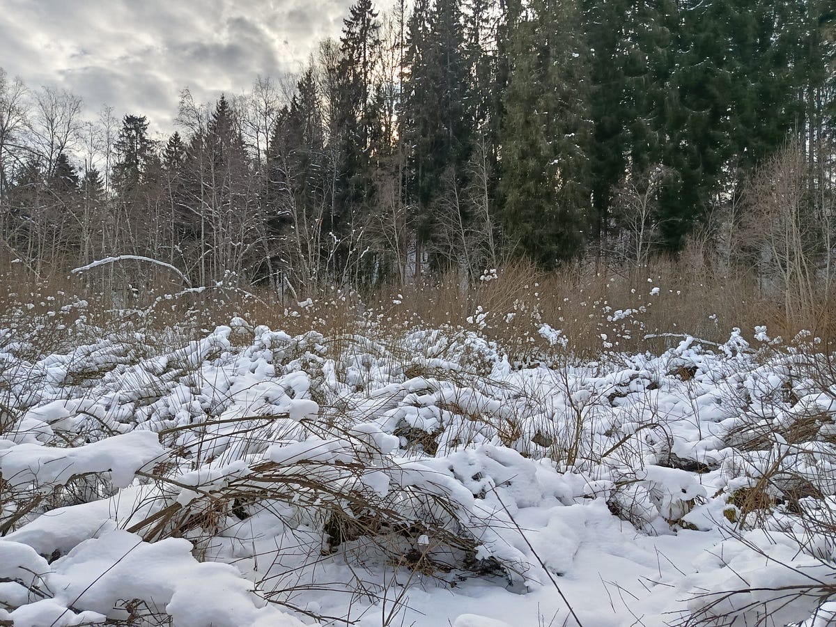 Why To Consider Vuetify Over Other Ui Component Frameworks For Your Next Vue Project By Jānis