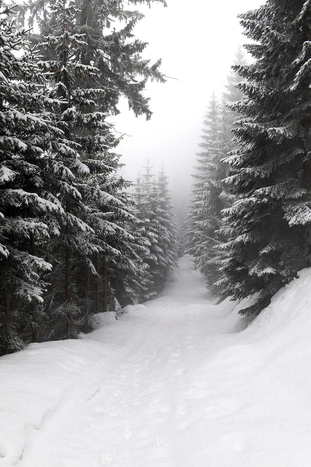 The Real Magic of Narnia: What Lewis’s Classic Says About Faith, Trauma ...