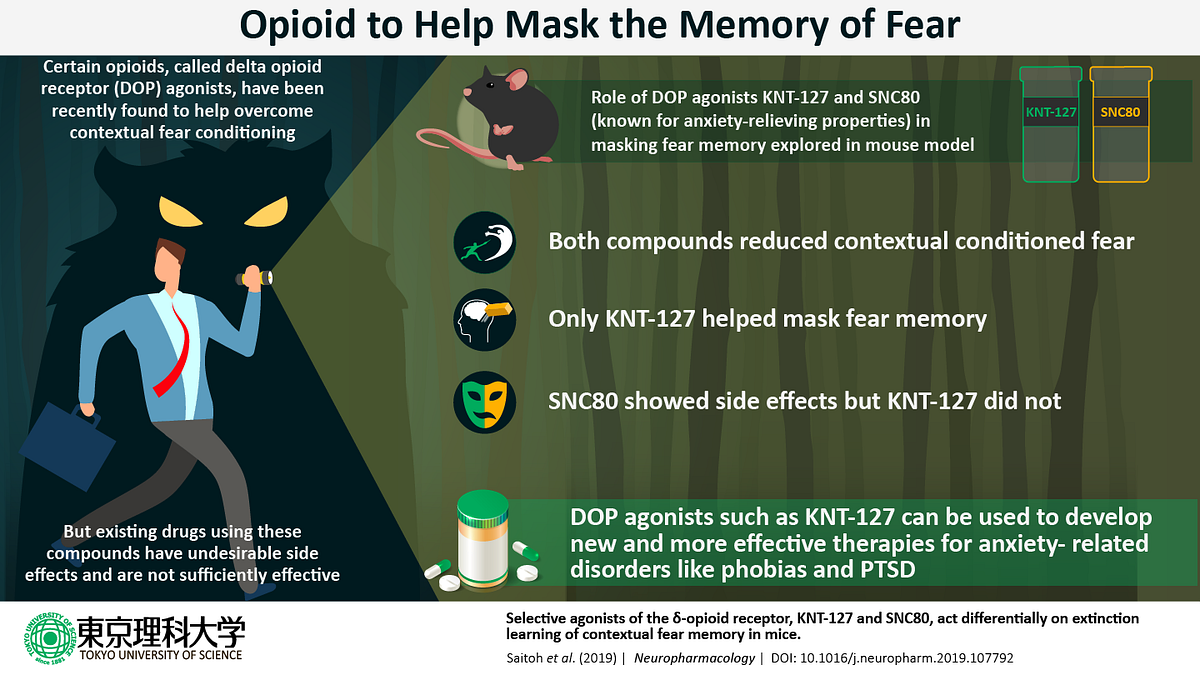 Masking the Memory of Fear: Treating Anxiety Disorders such as PTSD ...