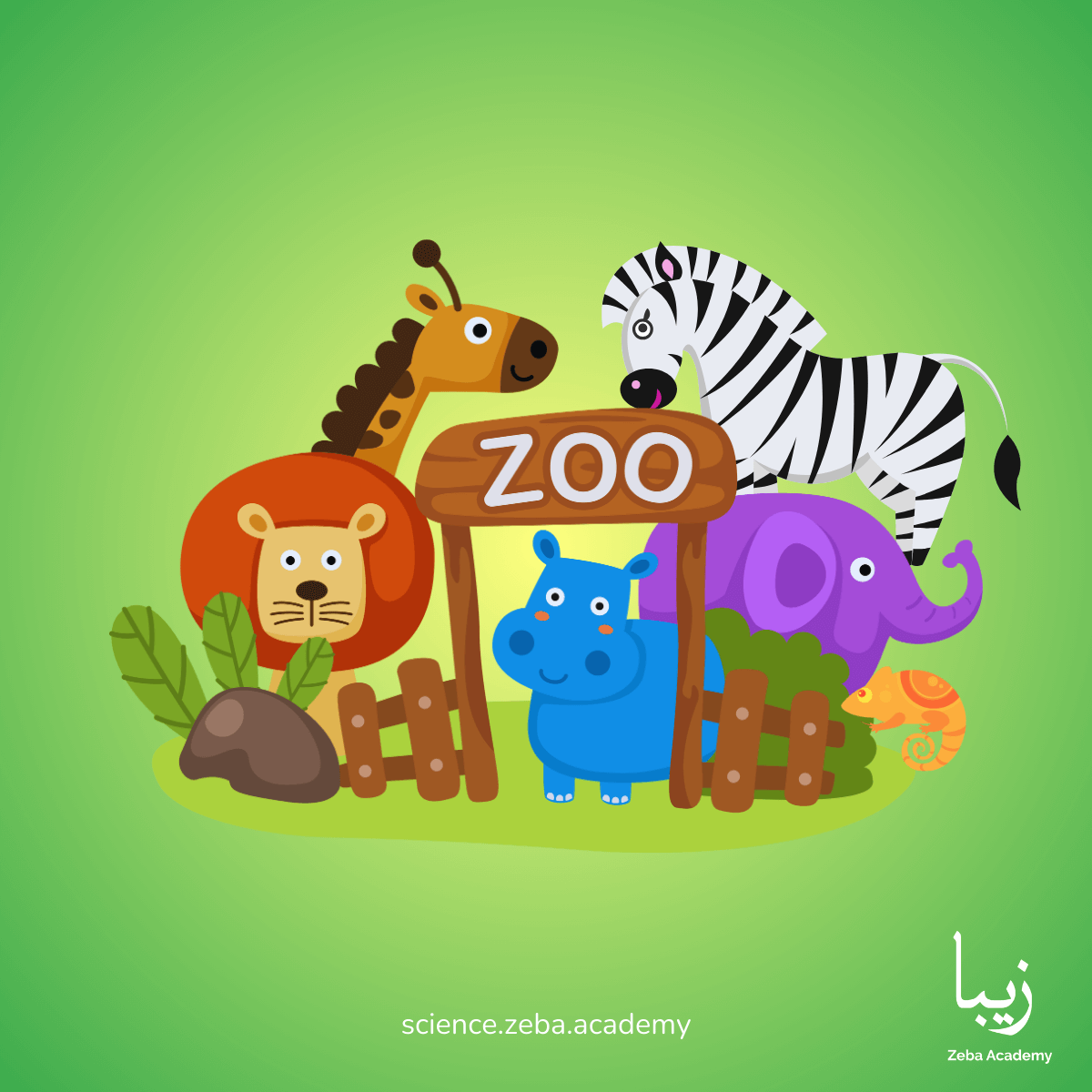 Encountering the Eccentric: 10 Unbelievably Strange Zoo Animals | by ...