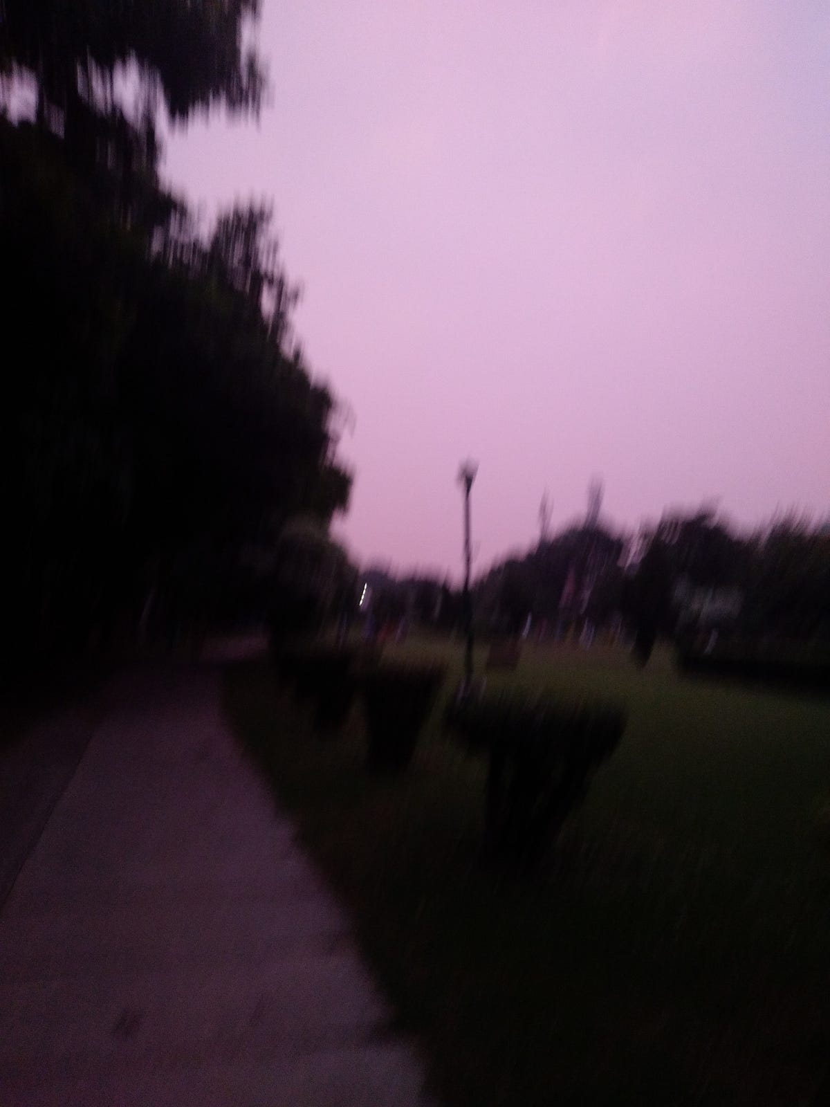 Summer Bliss!. Life is all about the little things… | by Ashna Goyal ...