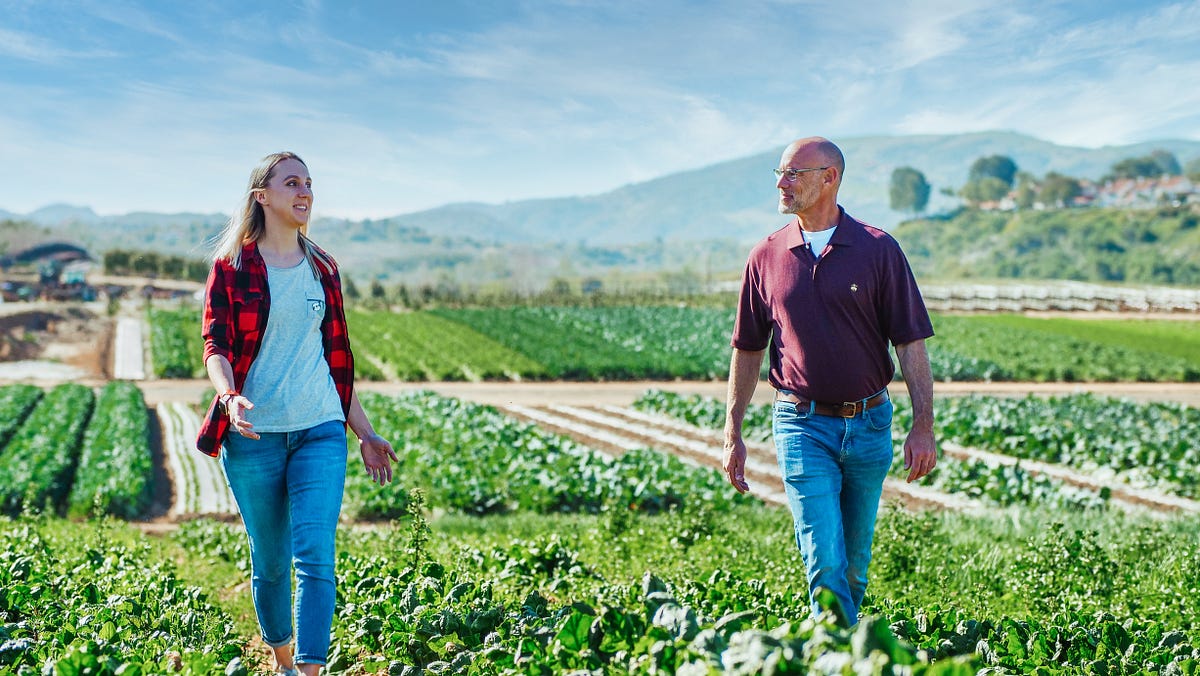 A Beginner’s Guide to Growing Vegetables | by Lee Nichols | Medium