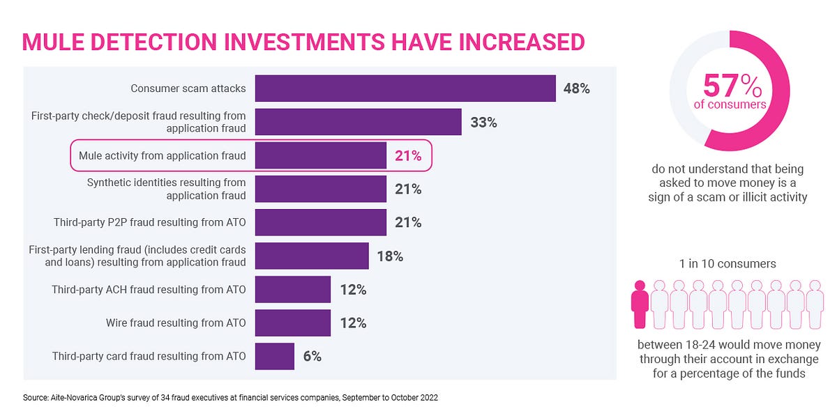 “Follow the Money Trail: Unraveling the Web of Money Mules”? | by ...