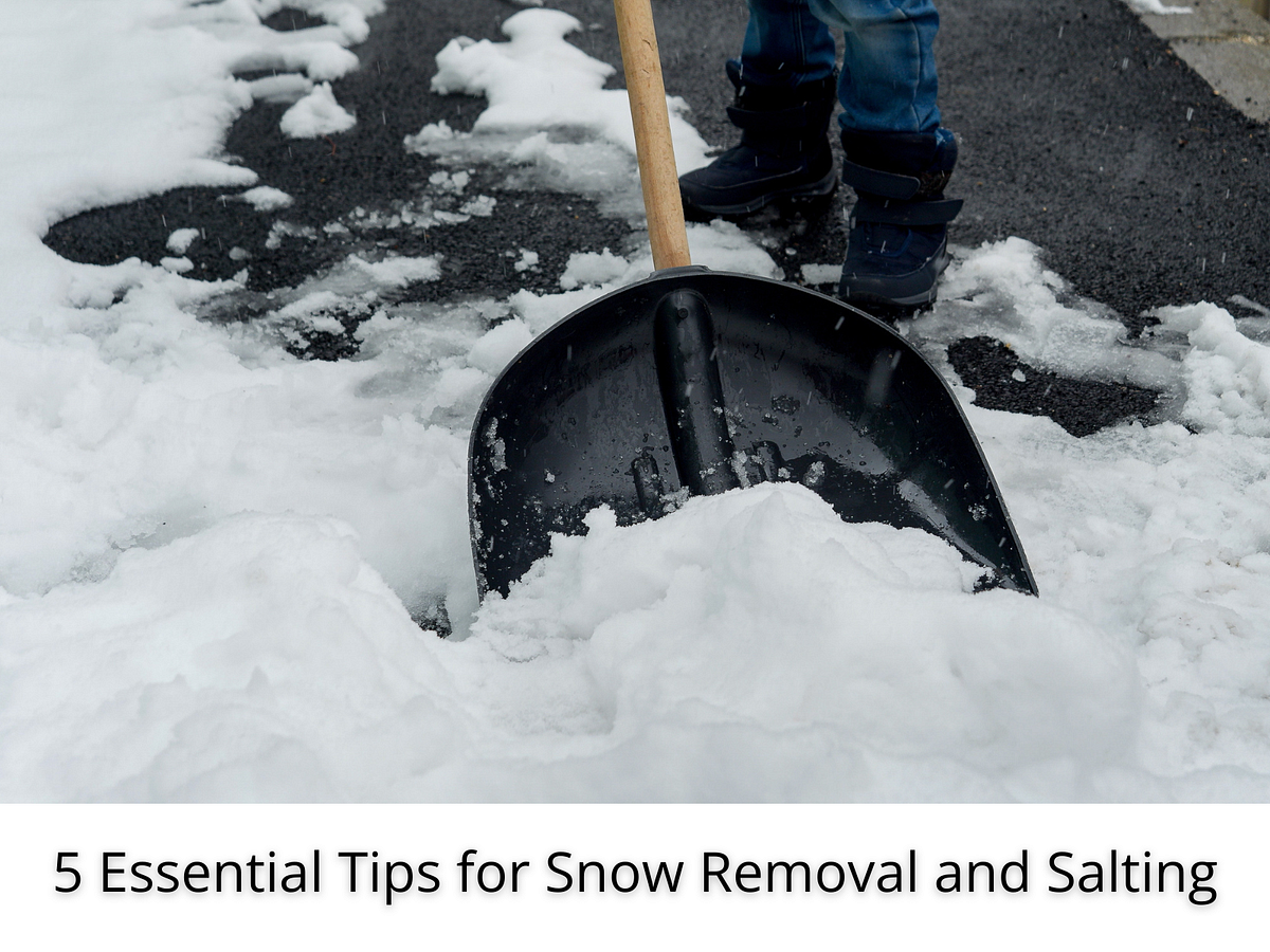 5 Essential Tips for Snow Removal and Salting ...