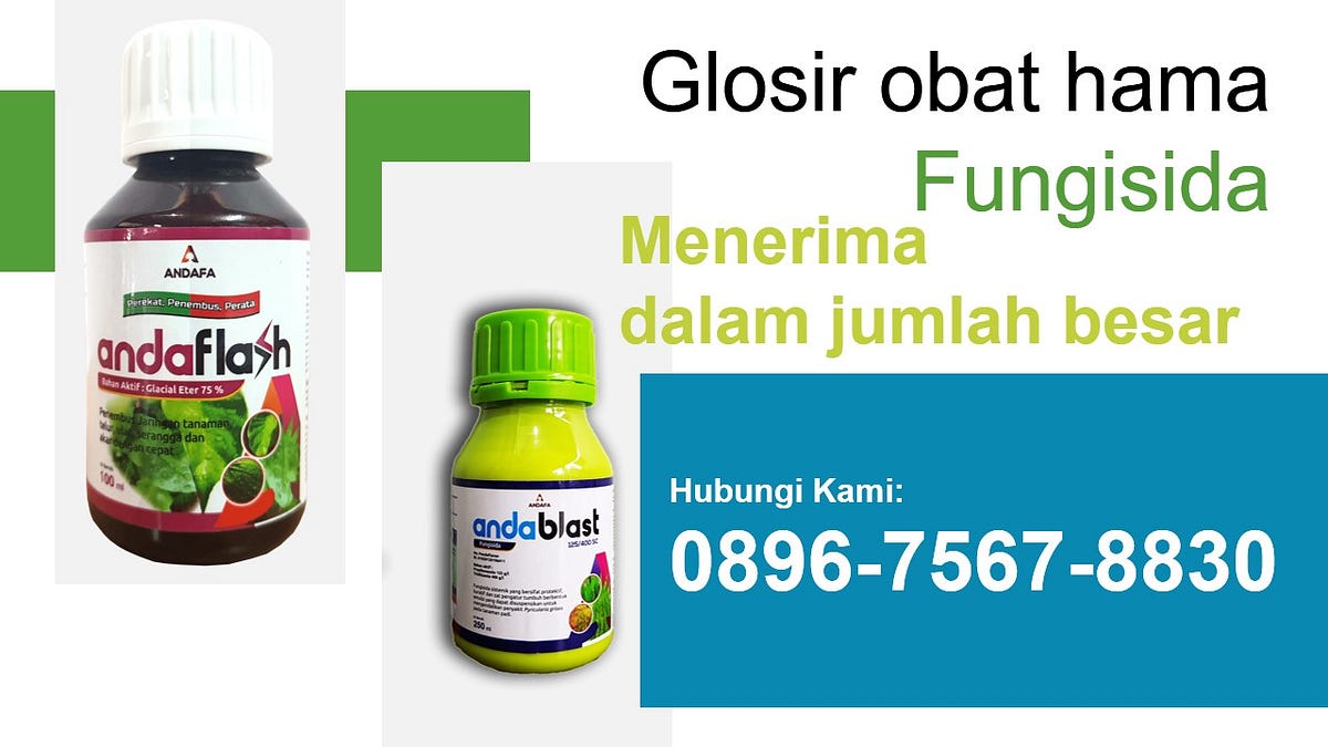 Glosir obat hama Fungisida di Ponorogo | by Bimbingan Kerja Pengusaha ...
