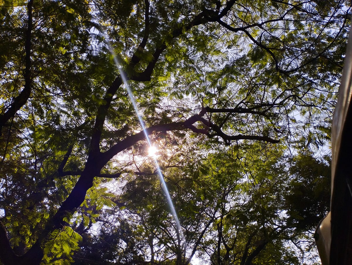 The Sunshine Moment - Short. Sweet. Valuable.