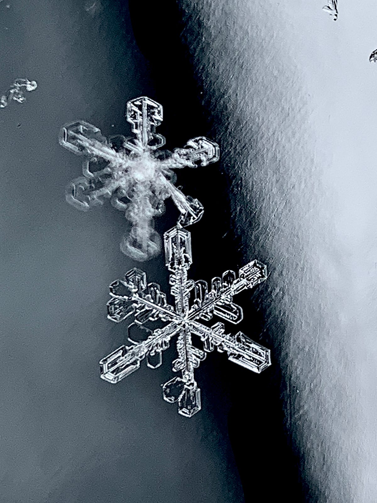 Patterns at Play: Fractals & Snowflakes | by Roya Damabi | Medium