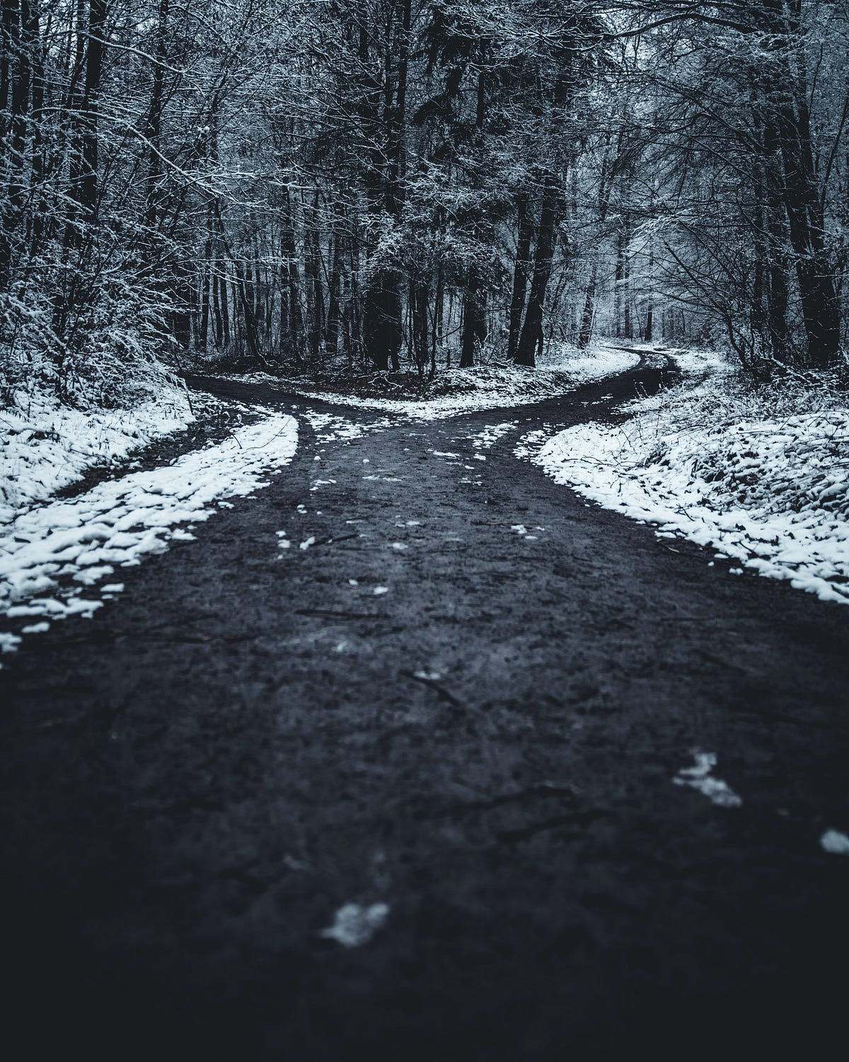 Decision Tree — Implementation From Scratch In Python By Rangavamsi The Startup Medium