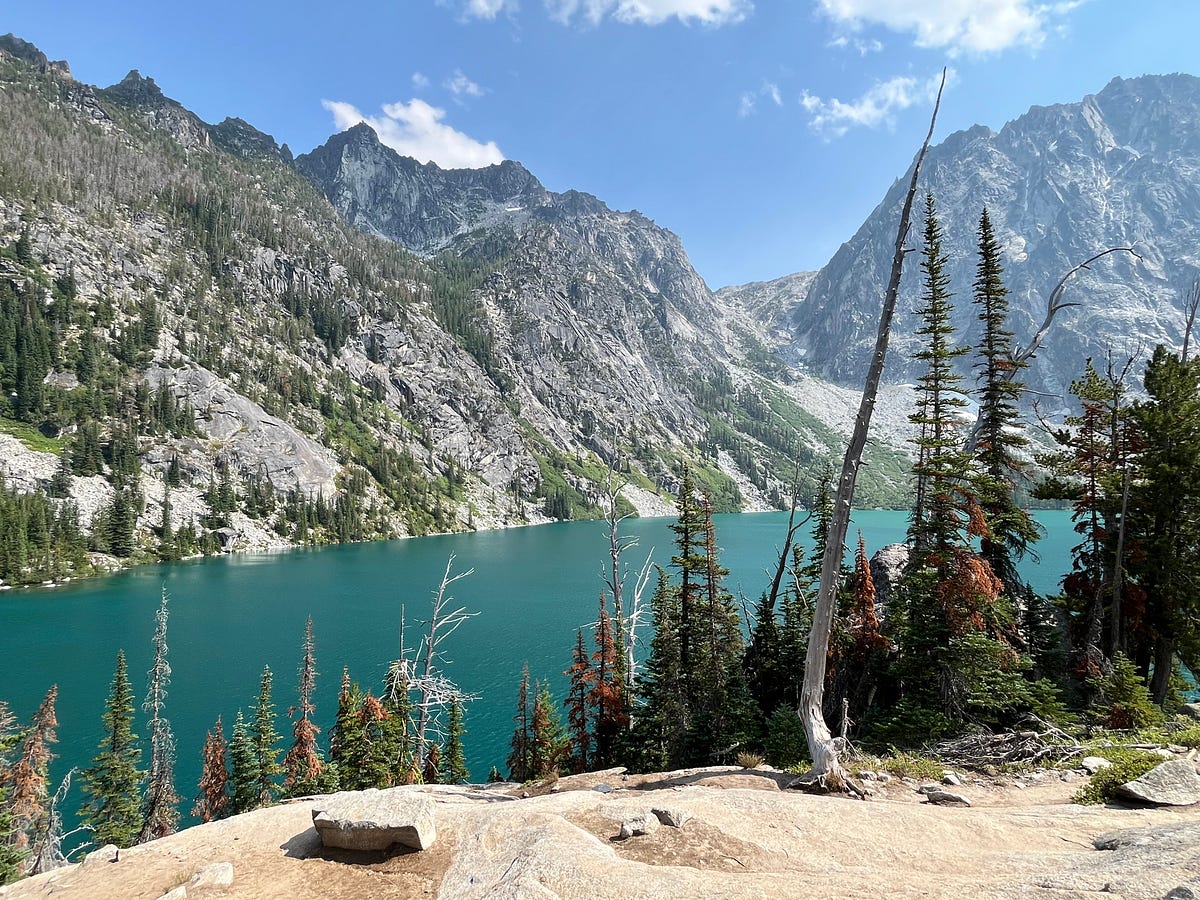 Hi! I’m Christy. Hello! My name is Christy Quang and I… | by Christy ...