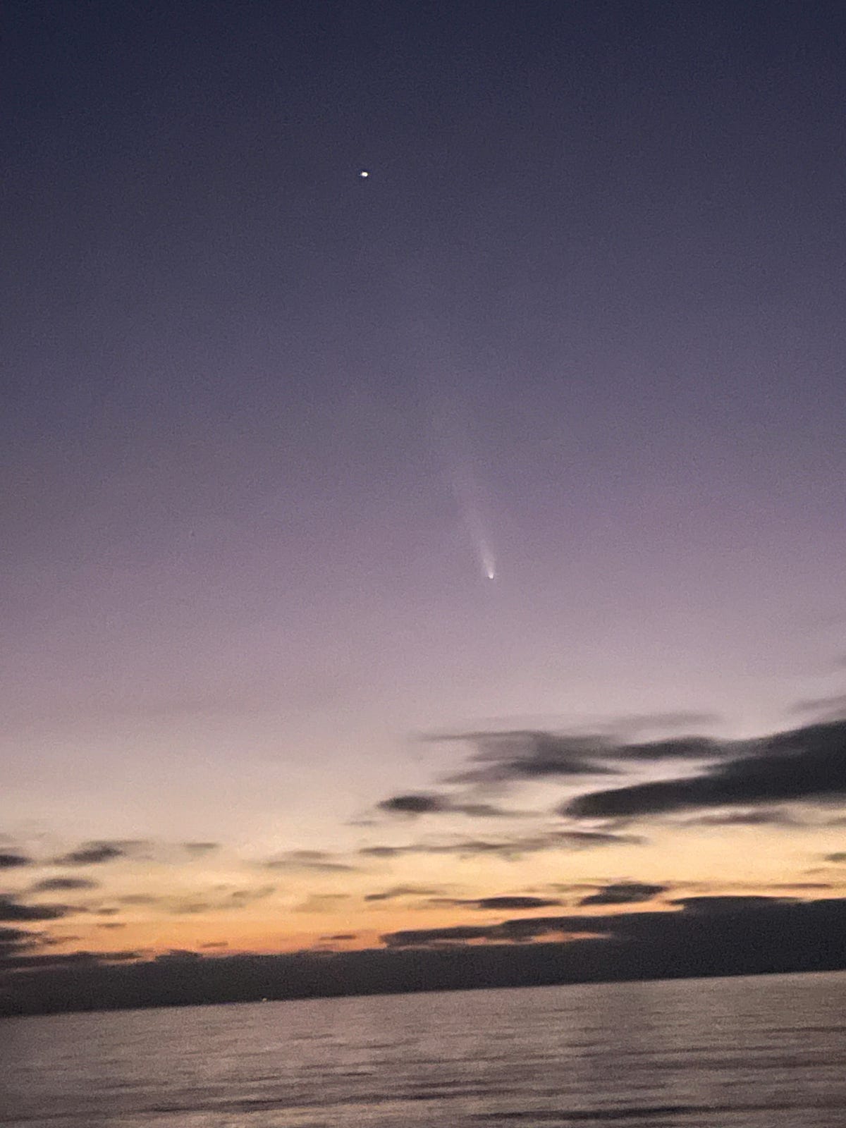 I saw this comet. Post election, we will be OK. | by Julia Fletcher ...