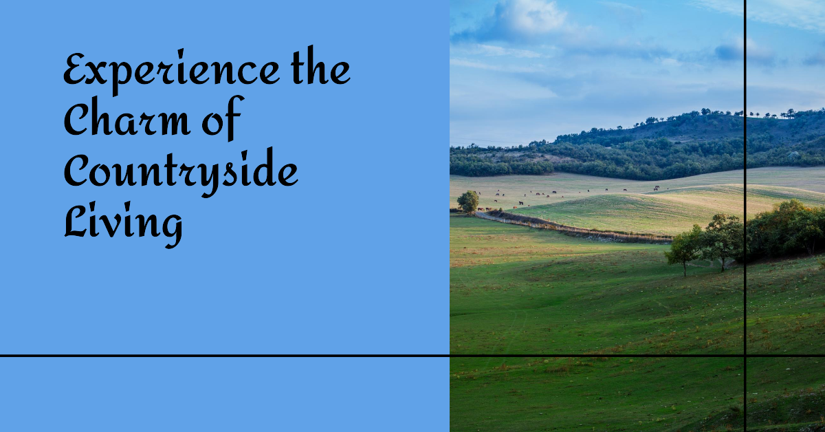Amazing Things to Do at a Countryside Lodge | by Saleem | Mar, 2024 ...