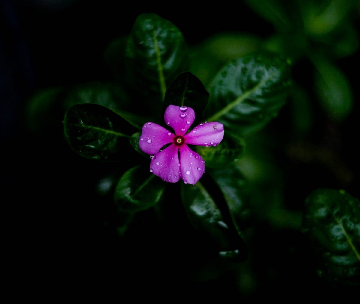 Theres a New Dawn Every Day Even When it’s Raining | by cindee D Renee ...
