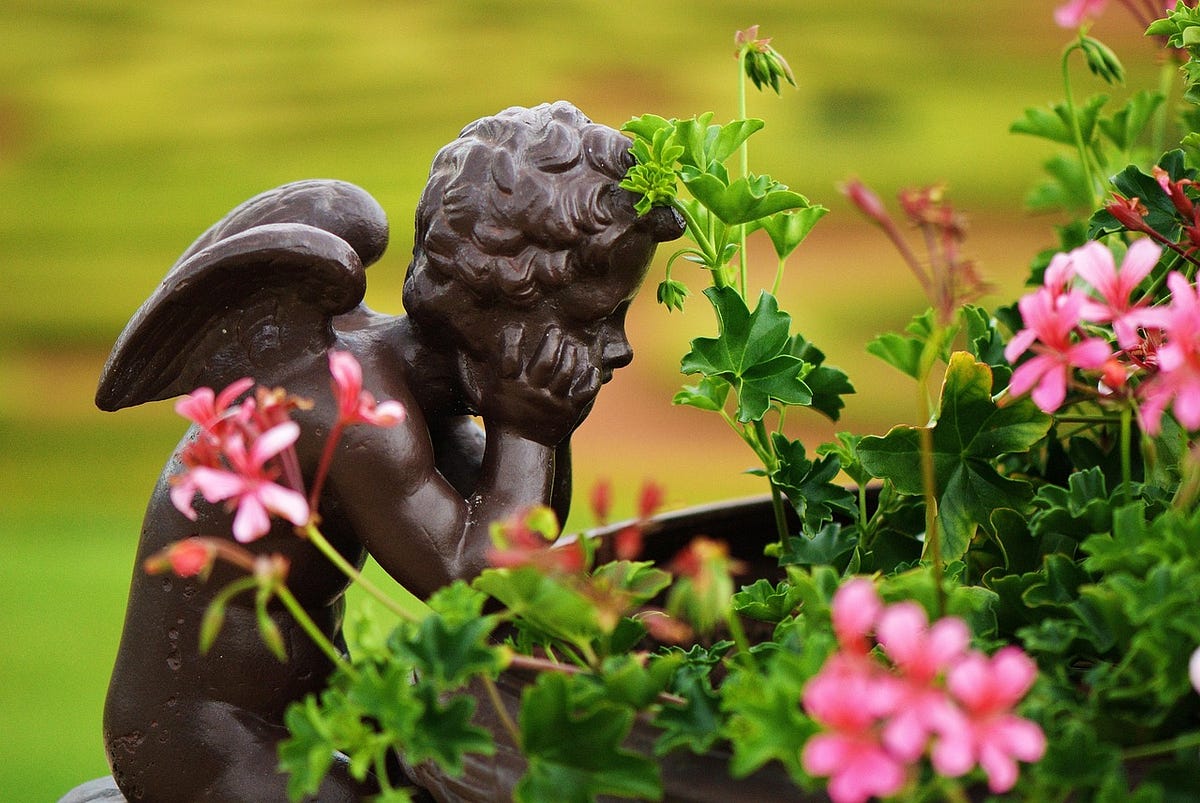 Are You A Poet?. Or enjoy poetry? | by Susan Brearley | Connections ...