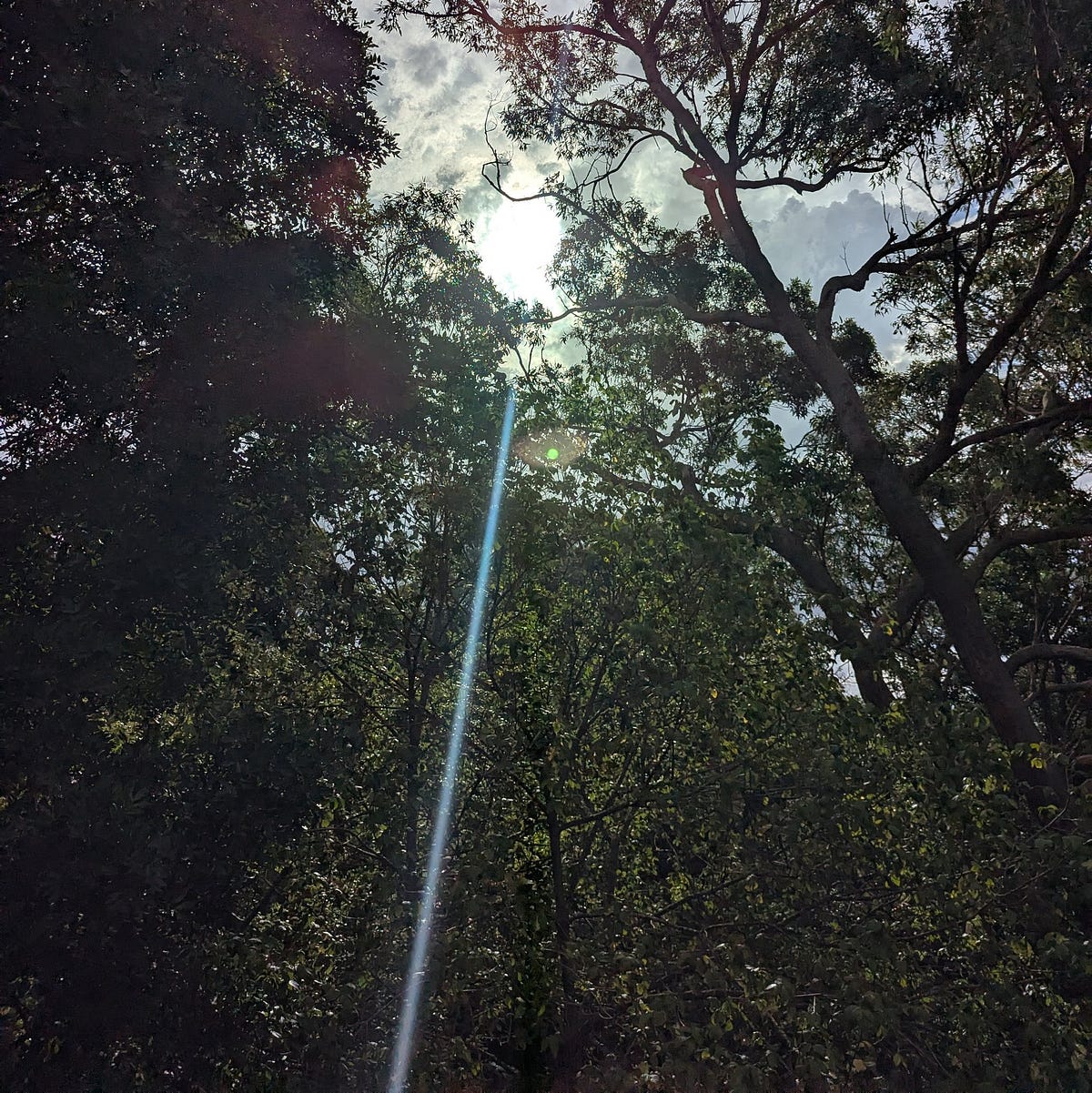 How To Find Prime Numbers Using SQL. | by Amey A. | Aug, 2025 | Medium