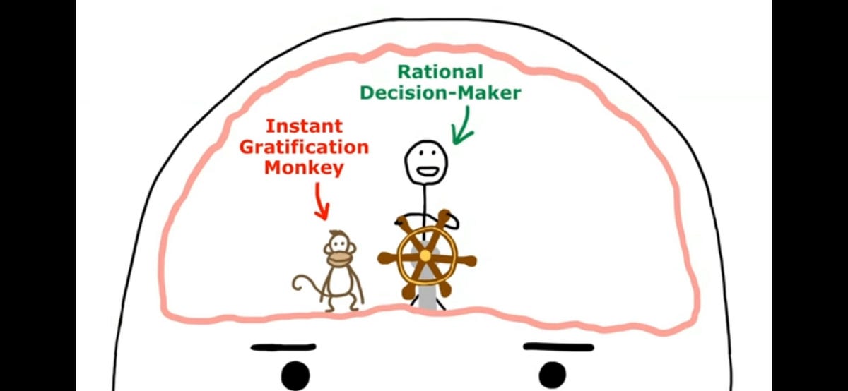 Procrastination? Let’s blame it on the monkey. | by Majeedat_abdul | Medium