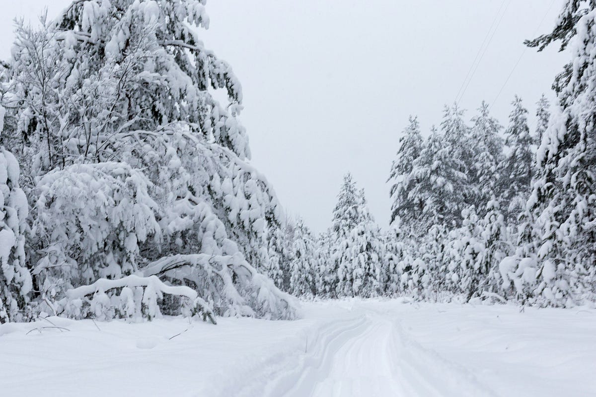 Understanding Humidity Changes and Your Piano | Vanguard Piano Service ...