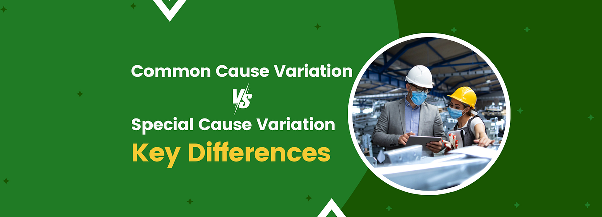Common Cause Variation vs. Special Cause Variation: Key Differences ...