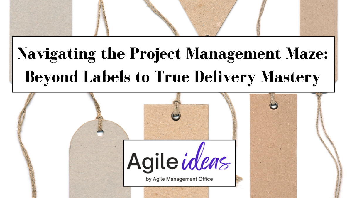 Navigating the Project Management Maze: Beyond Labels to True Delivery ...