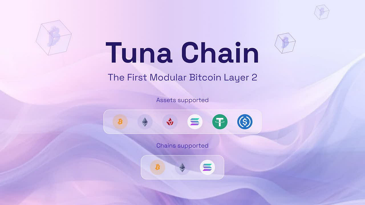 Tuna Chain Bitcoin Testnet Airdrop Guide | by Token Dispatch | Apr ...