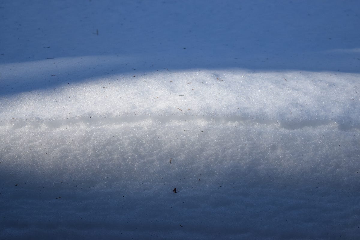Tender. I am tender as the snow that has just… | by poetica | Jan, 2025 ...
