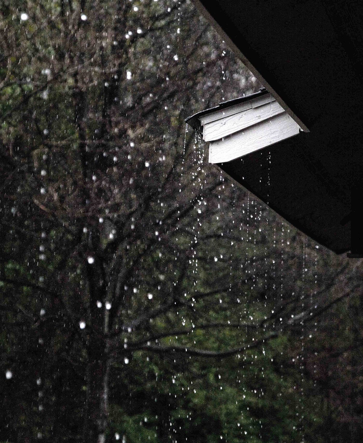 Autumn Shower. staccato ribbons of silver | by Glen Hendrix | American ...