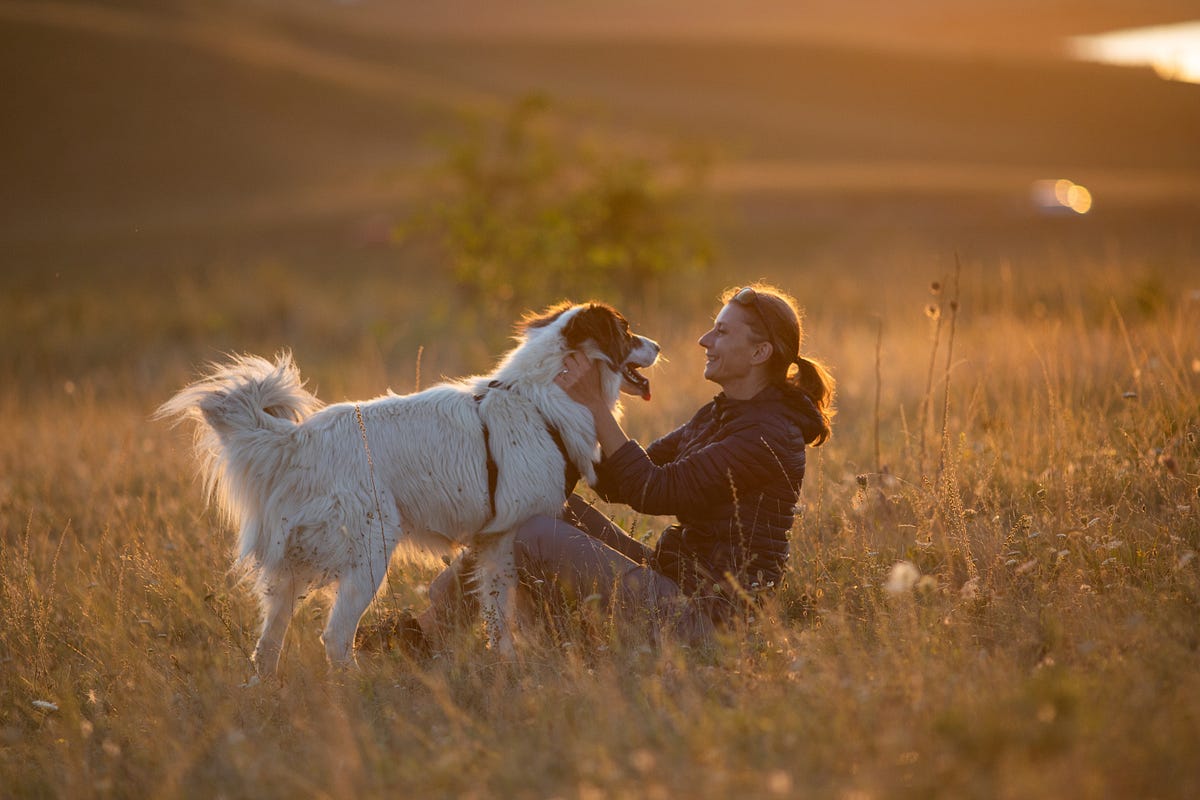 Why a culture of kindness is key to innovation and creativity | by ...