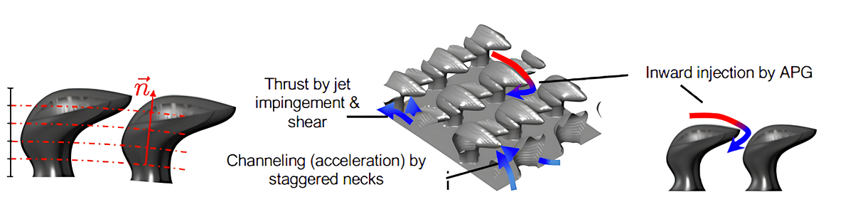 Can Shark-Skin Patterns Really Reduce Drag? Simulating Riblet Plates ...