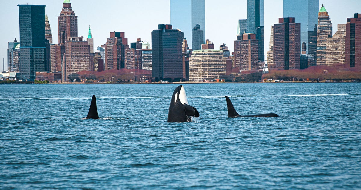 Data Transformation And Big Data Transformation Tools By