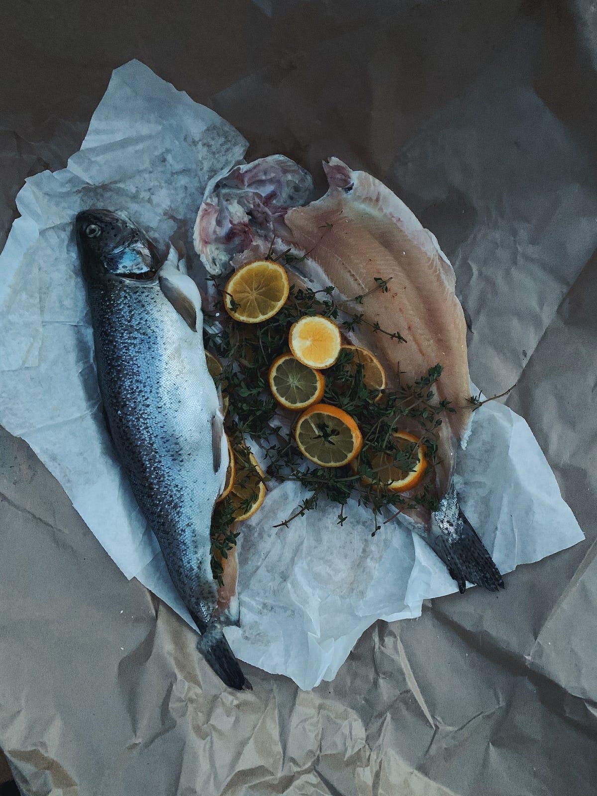 A Forest Dinner. It seems fitting to me to start this… | by Libby Geboy ...