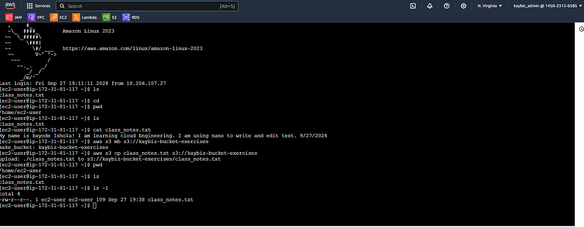 Week 4 — Linux & Bash: Comprehensive Overview | by Kayode Ishola | Medium