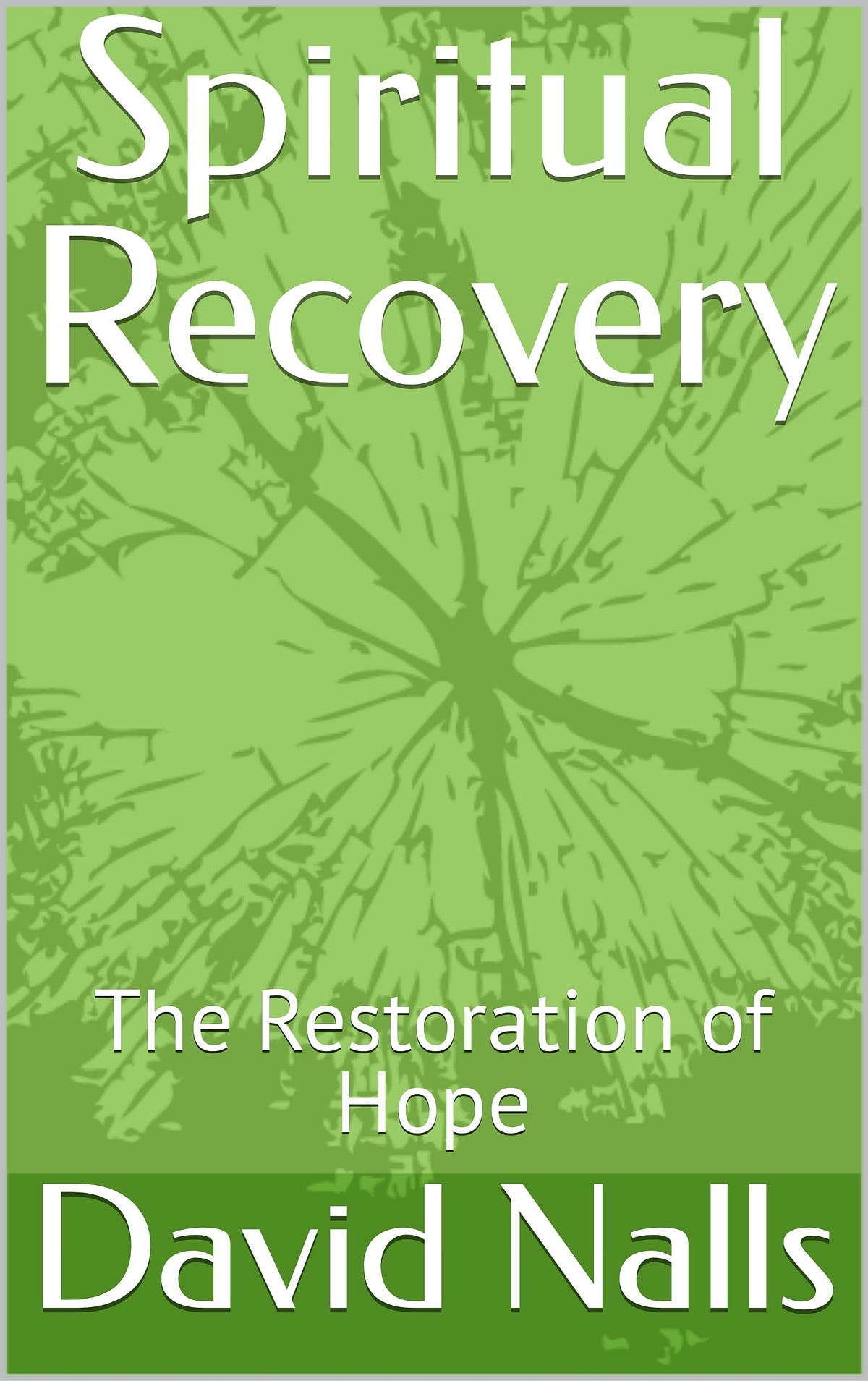[EBOOK]-Spiritual Recovery : The Restoration of Hope - Lawsen Leul - Medium