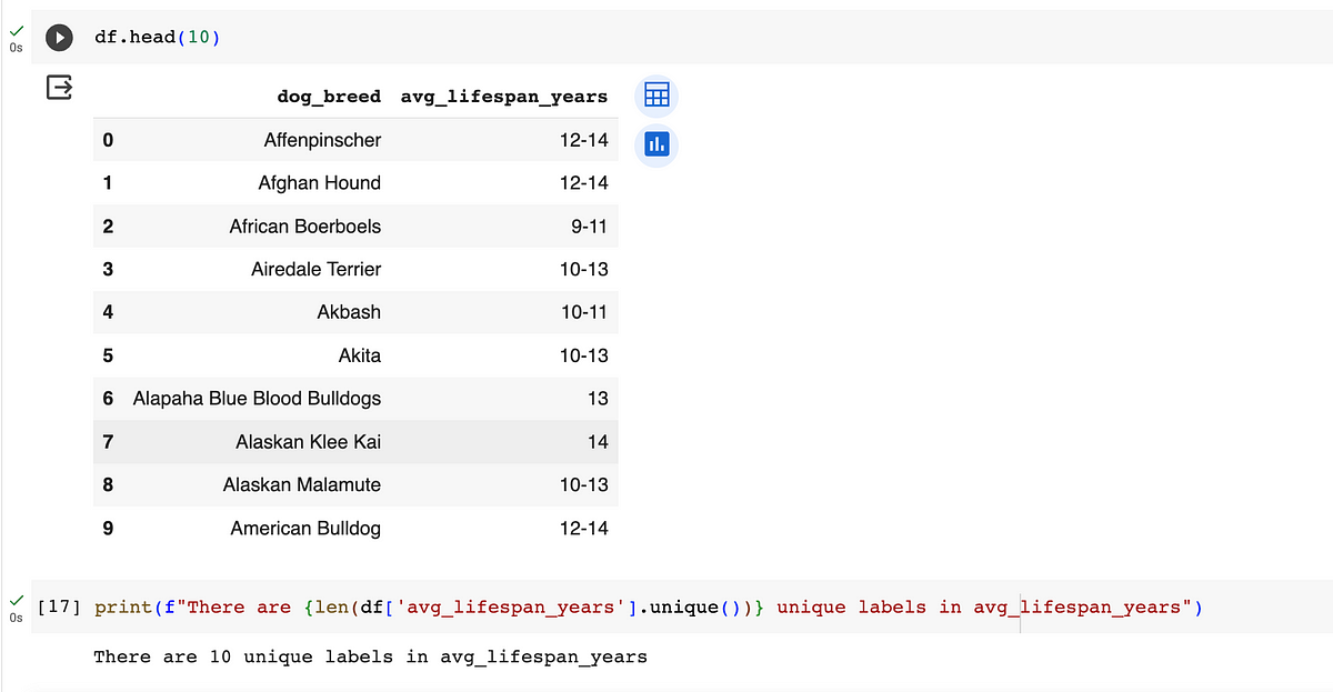 An Illustrative Example Of Encoding Categorical Features By Meera Nair Oct 2023 Medium