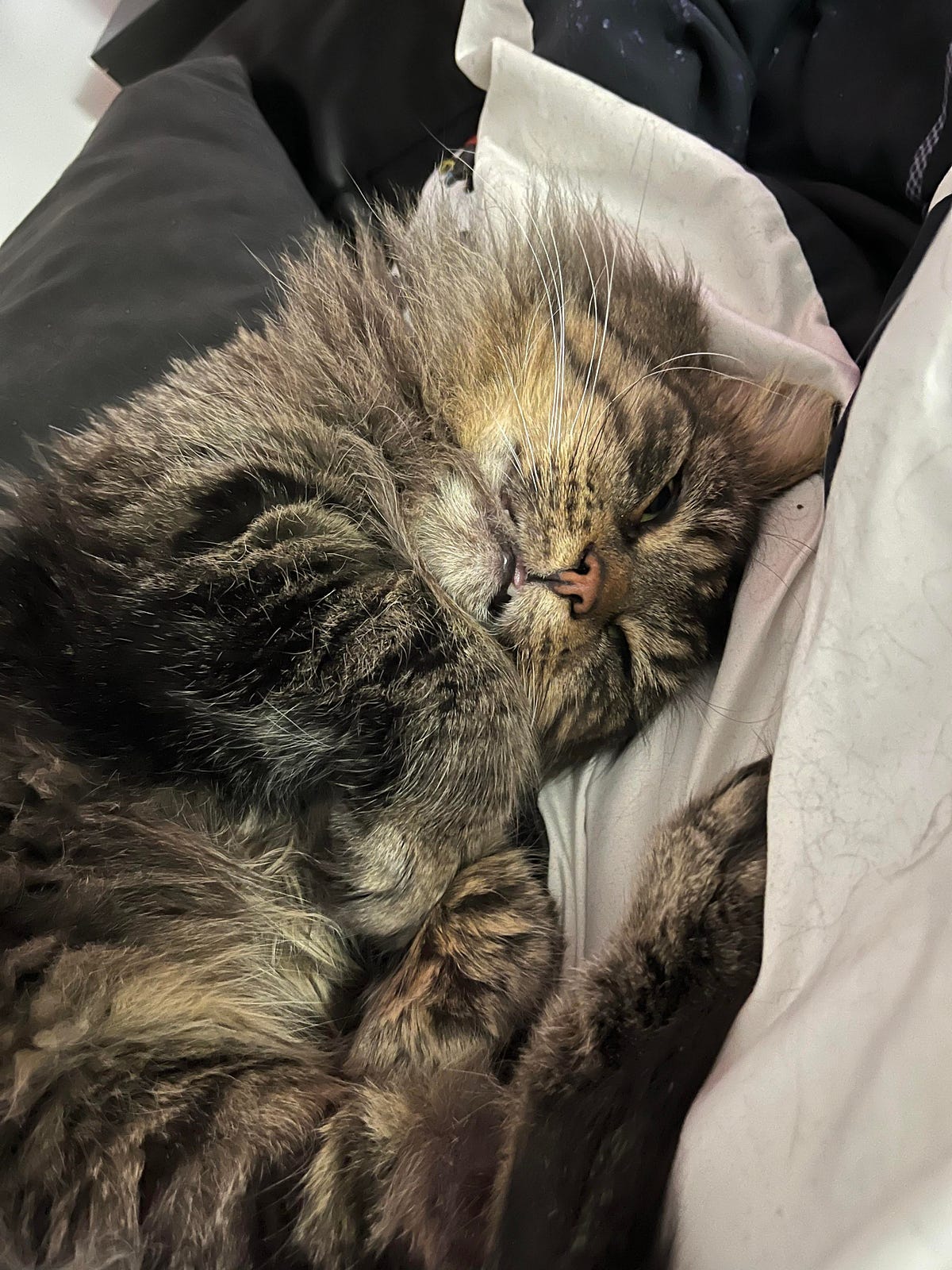 PicoCTF — Information write-up. https://play.picoctf.org/practice ...