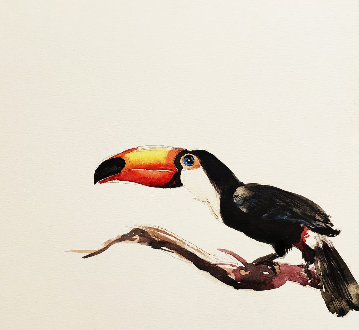 My beaky buddy, your colours are too pretty to be true! Mr. Toucan from ...