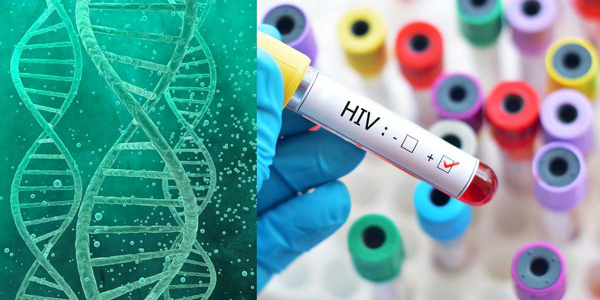 How a Stem Cell Transplant Cures Woman of HIV/AIDS with Novel Treatment ...