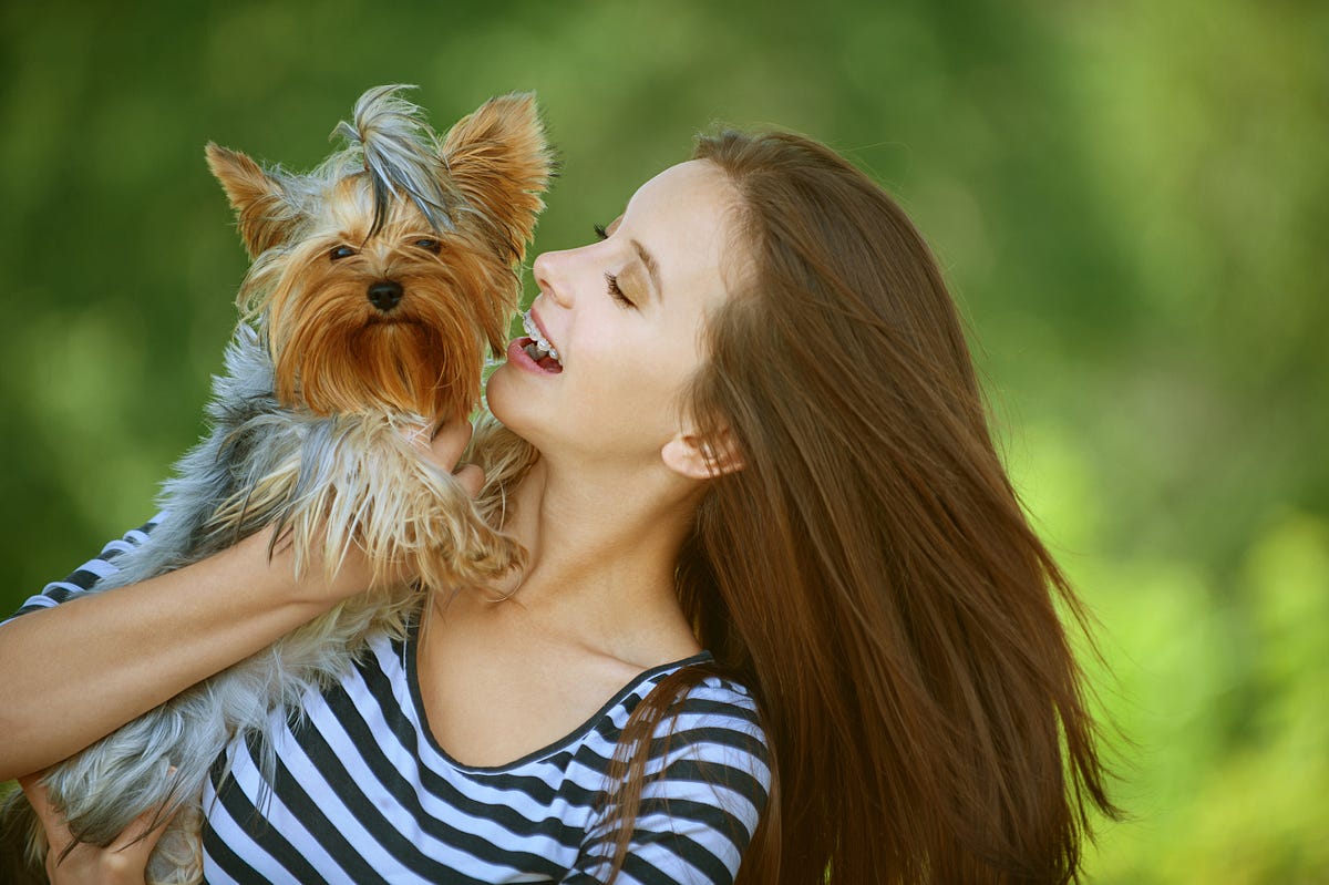 5 Benefits of Feeding Dogs a Raw BARF Diet | by Raw Pet Food | Medium
