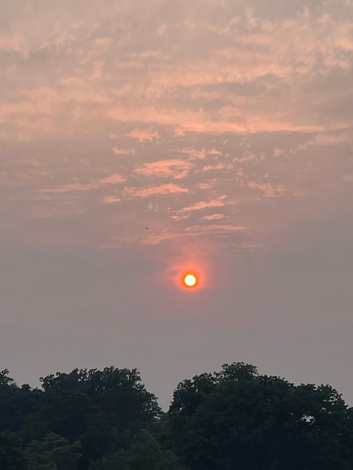 Low Air Quality Impacts Mental Health: 8 Tips on How You Can Cope | by ...