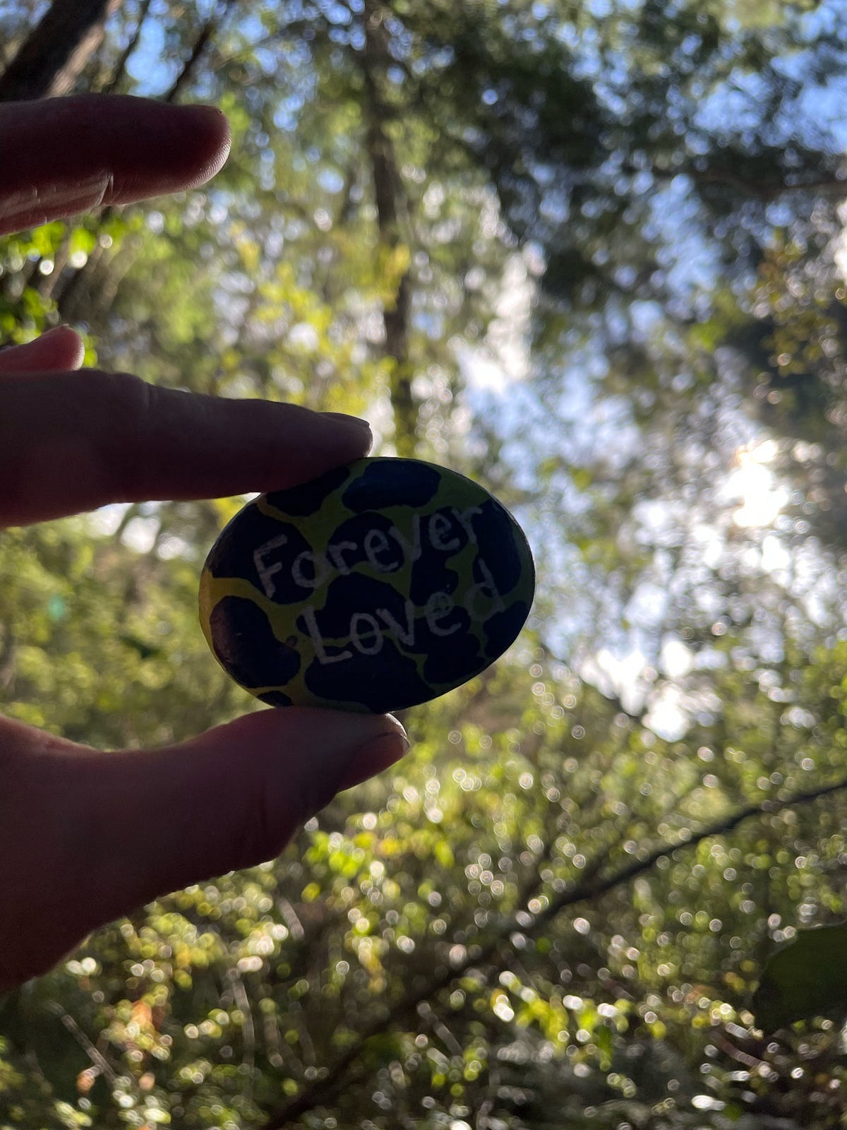 Epilepsy from a Shamanic Perspective: A Journey of Healing and Balance ...